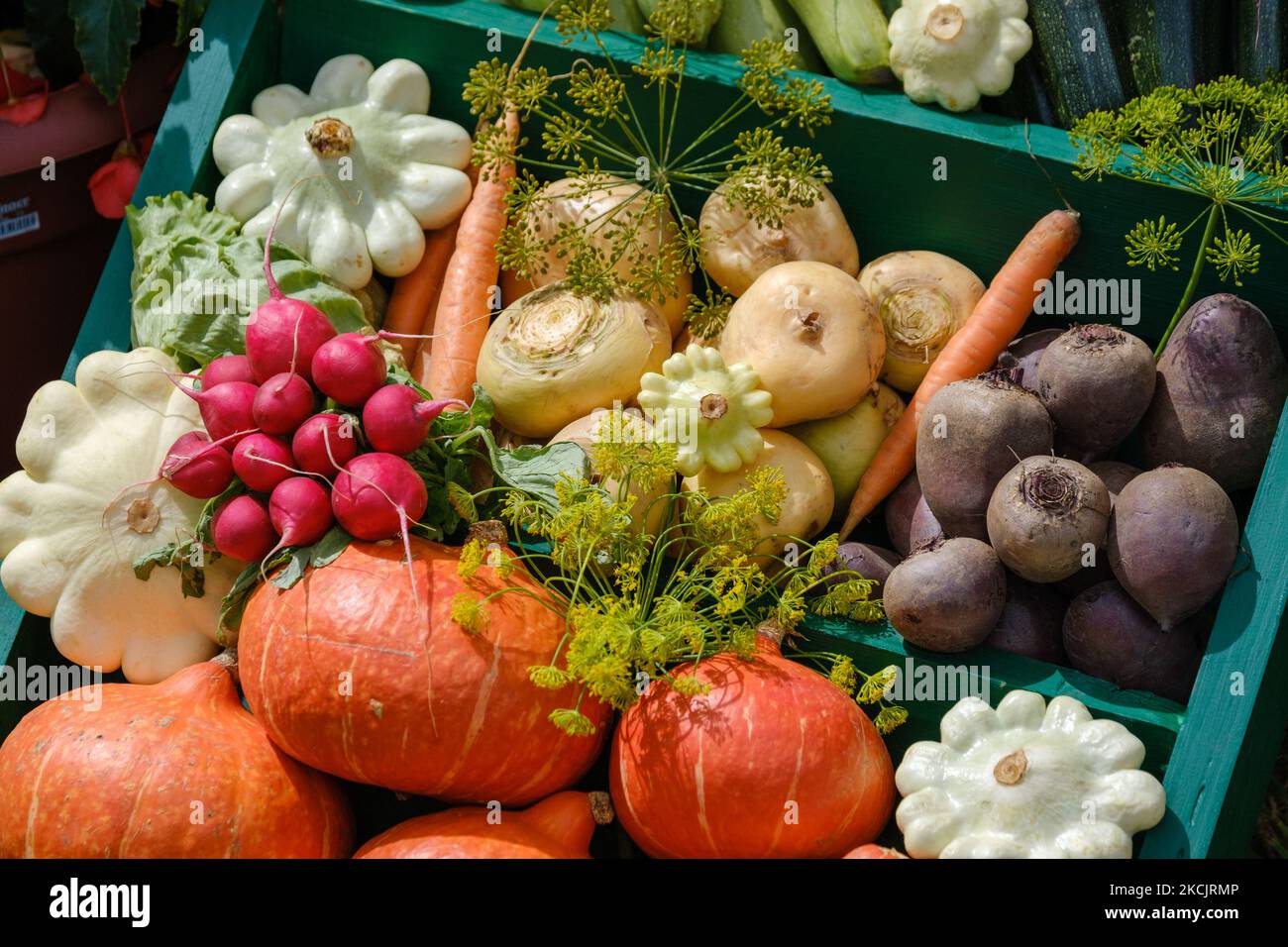 From above various fresh vegetables placed inside green containers on ...