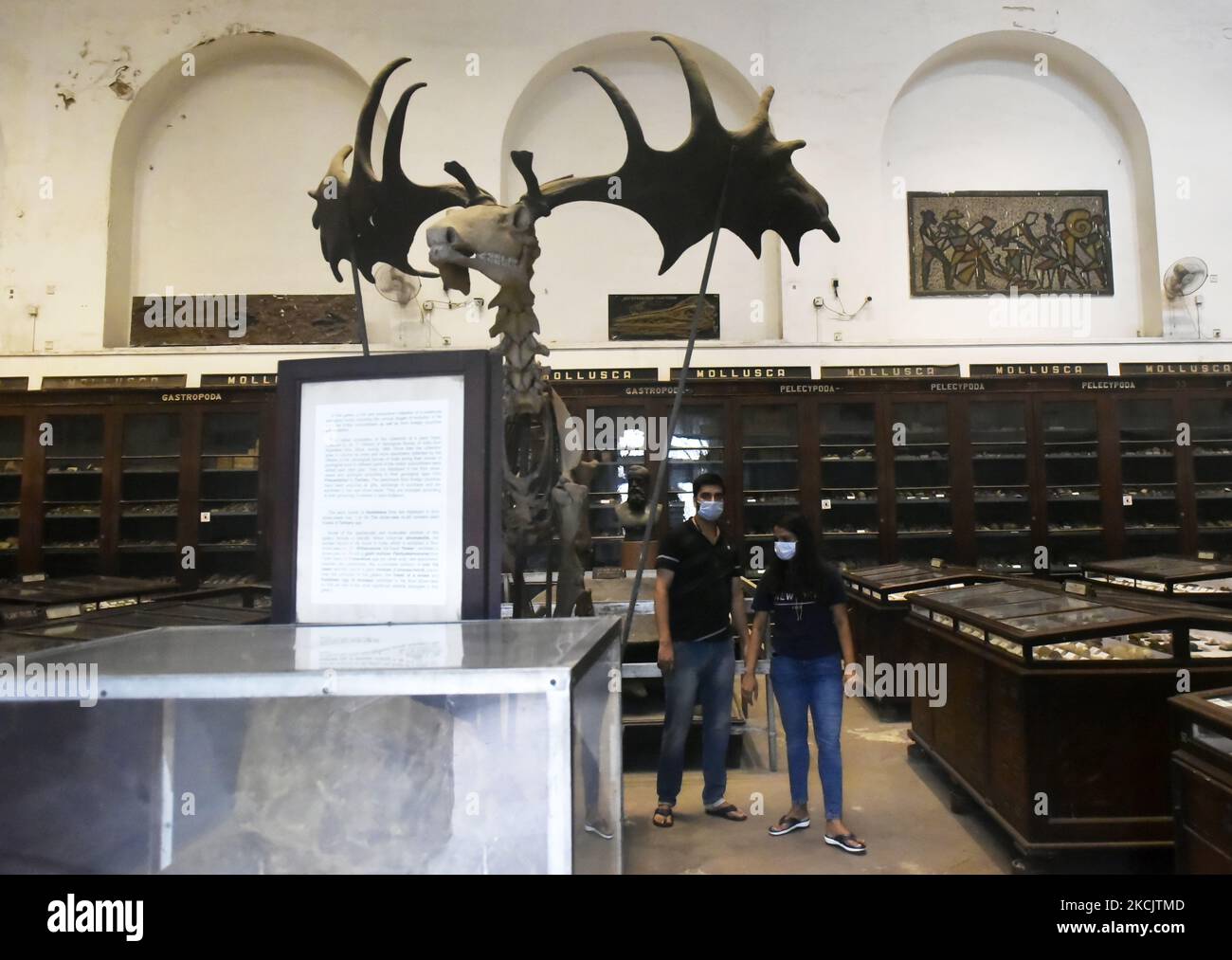 Visitors walks inside a museum gallery as Indian museum re-opens after ...