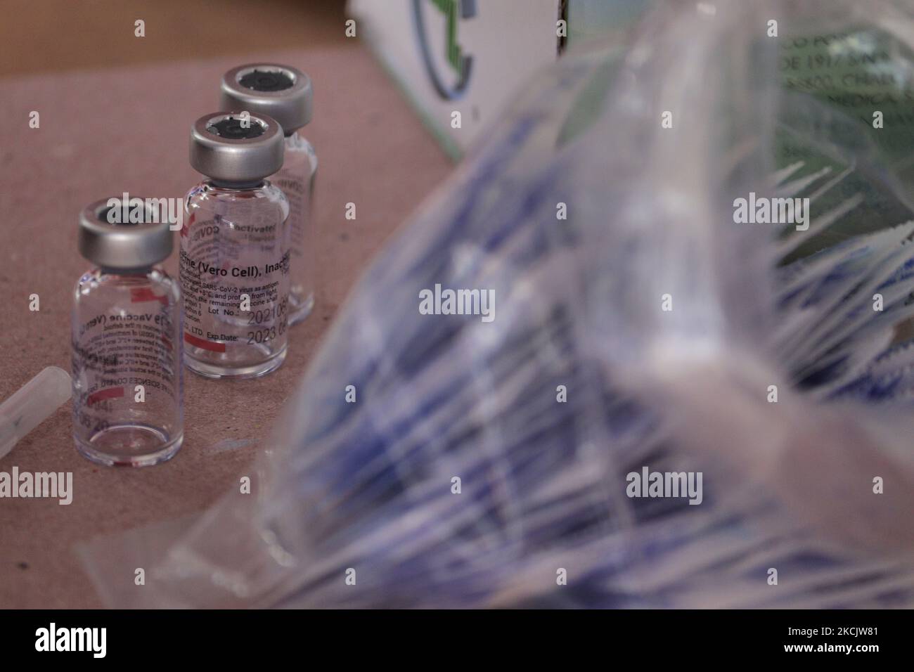 Empty vials of Sinovac biological in the esplanade of the Municipal ...