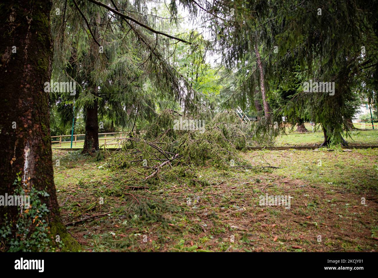 Storm damage with fallen trees in a park on July 26, 2021 in Bergamo ...