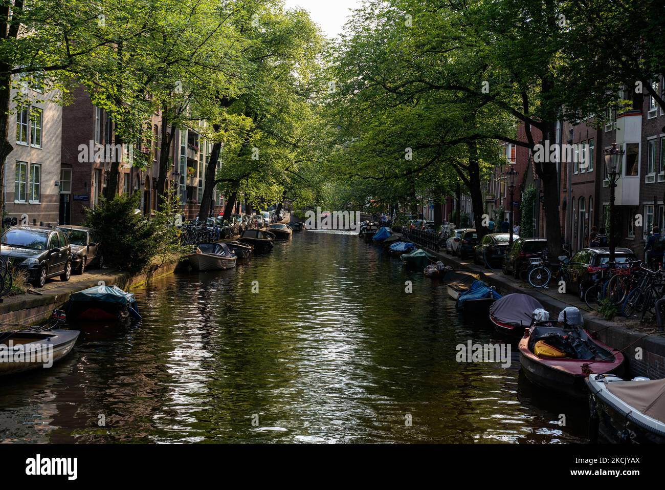 Concentric belts hi-res stock photography and images - Alamy