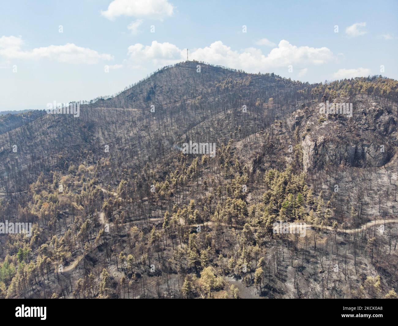 Burned forest in Northern Evia. Panoramic aerial bird's eye view of a ...