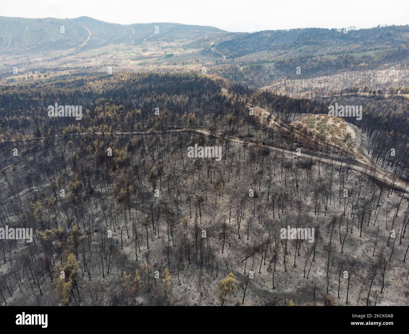 Panoramic aerial bird's eye view of a drone shows devastating aftermath ...