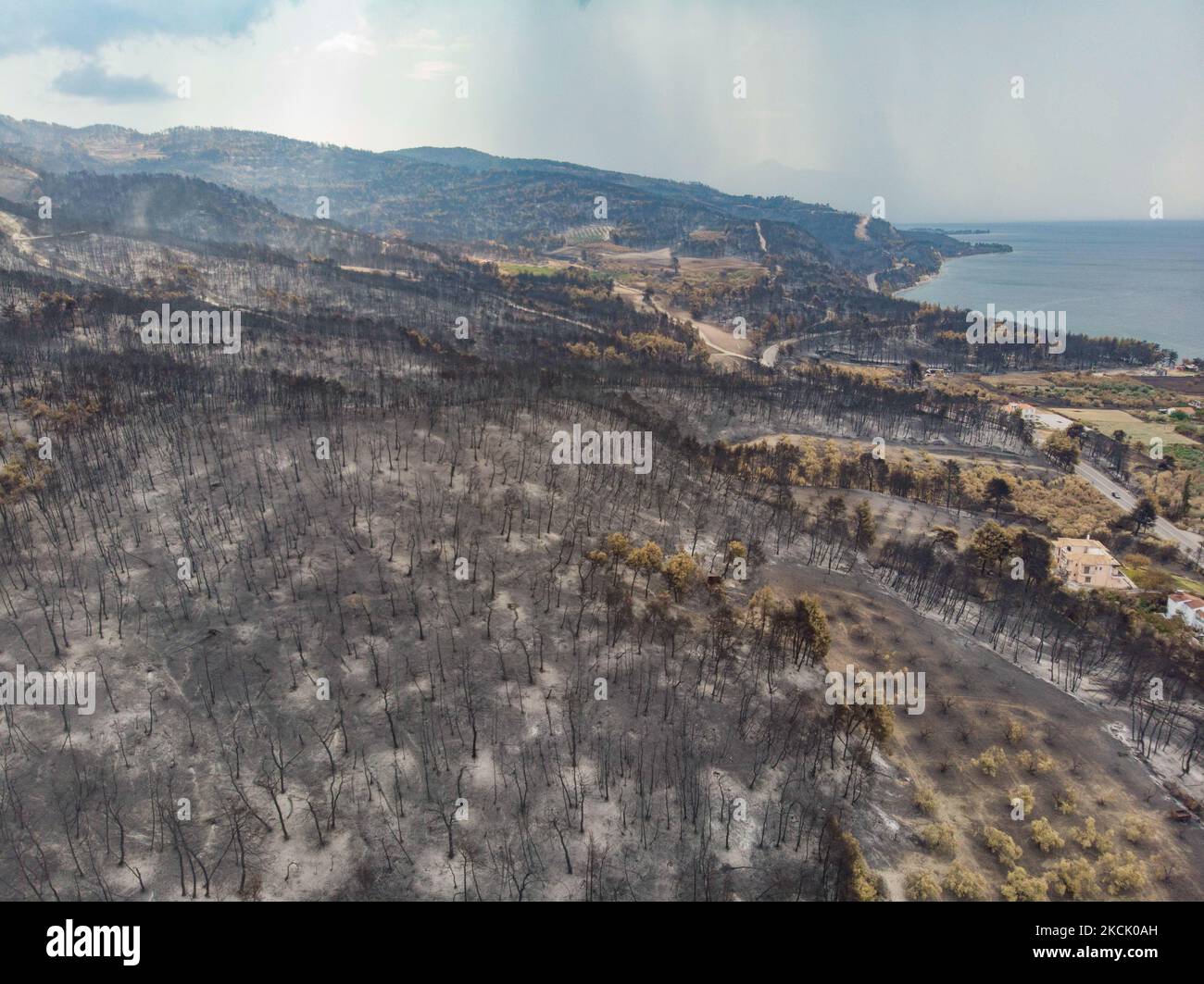 Burned forest near Rovies. Panoramic aerial bird's eye view of a drone ...