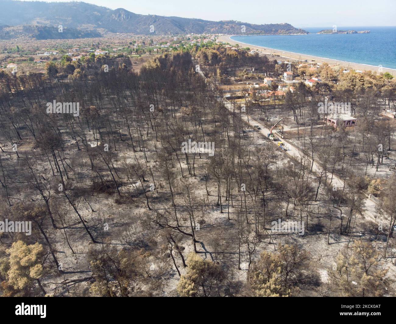 The forest near Agia Anna burned. Panoramic aerial bird's eye view of a ...