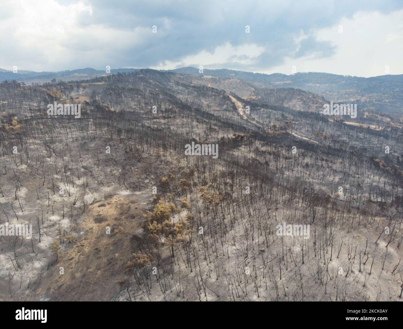 Burned forest near Rovies. Panoramic aerial bird's eye view of a drone ...