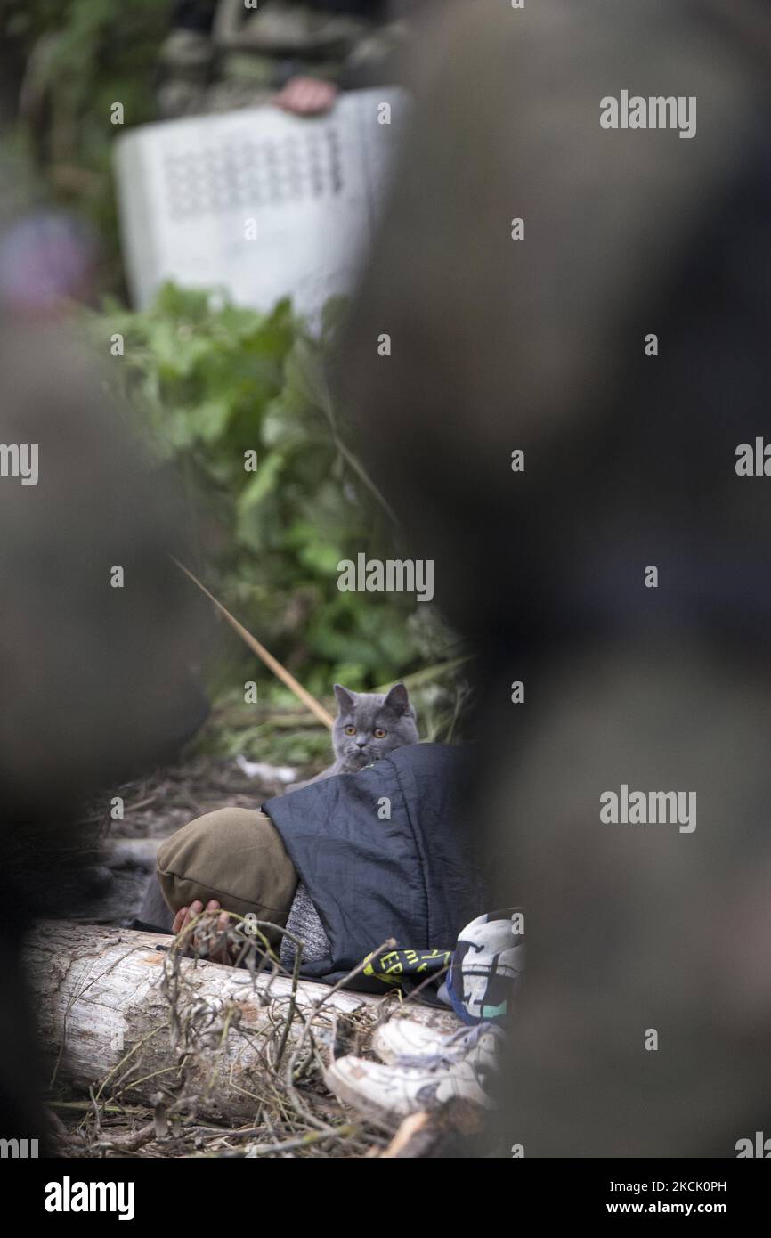 A refugee seen holding his cat in makeshift camp after illegal border ...