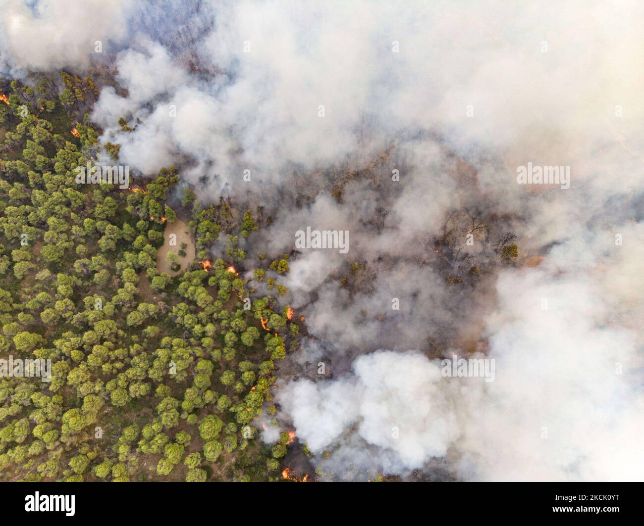 Burnt fields after wildfires aerial hi-res stock photography and images ...