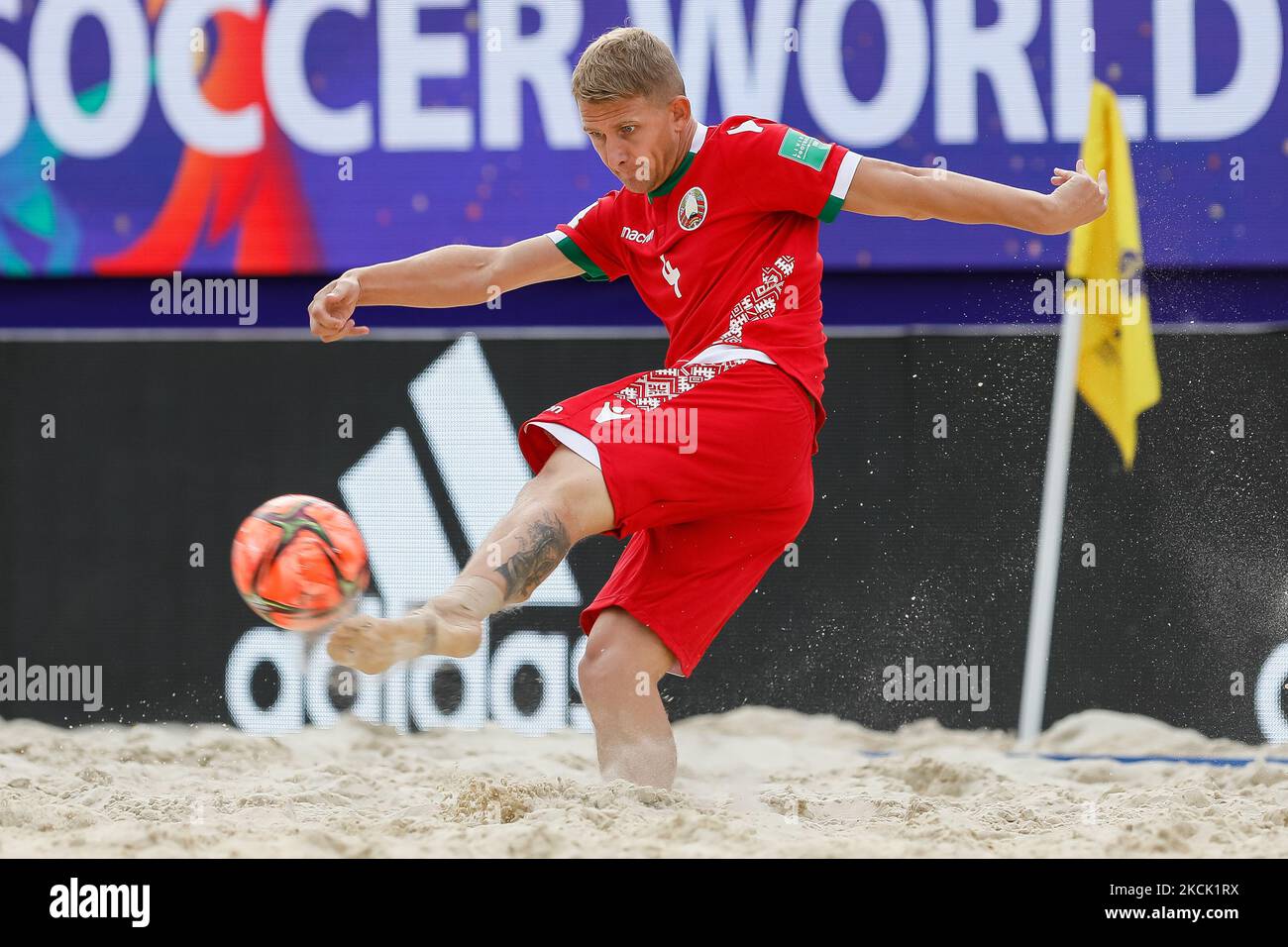 Artsemi drozd hi-res stock photography and images - Alamy