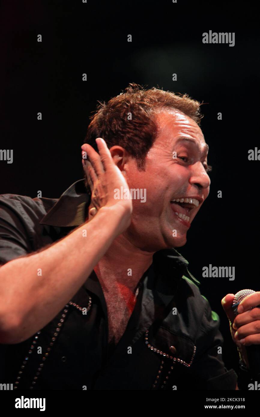 The lion of egypt hi-res stock photography and images - Alamy