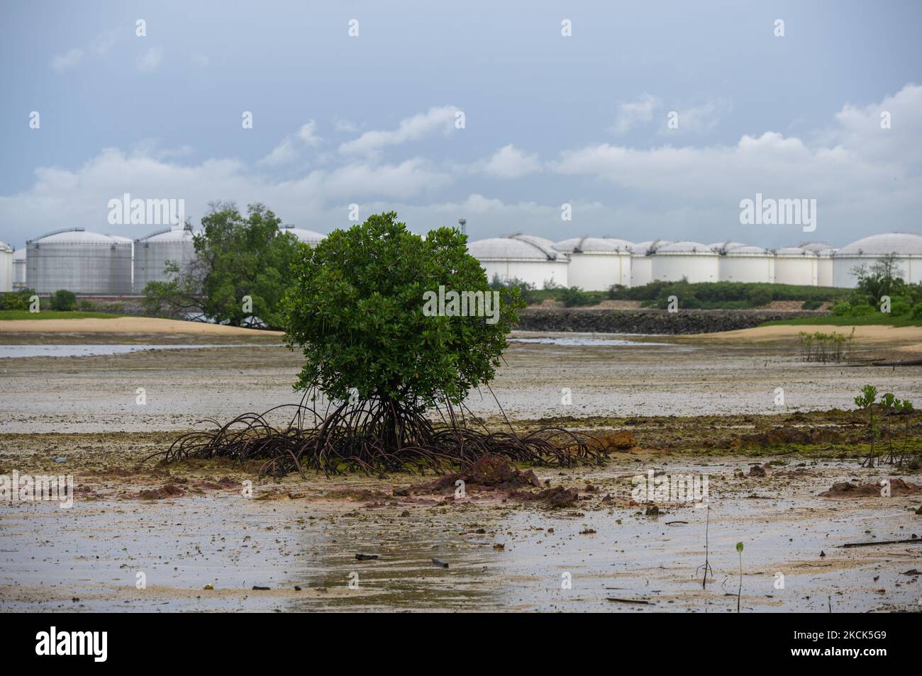 Shell refinery 2021 hi-res stock photography and images - Alamy