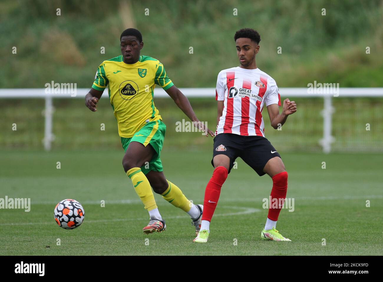 Harrison sohna hi-res stock photography and images - Alamy