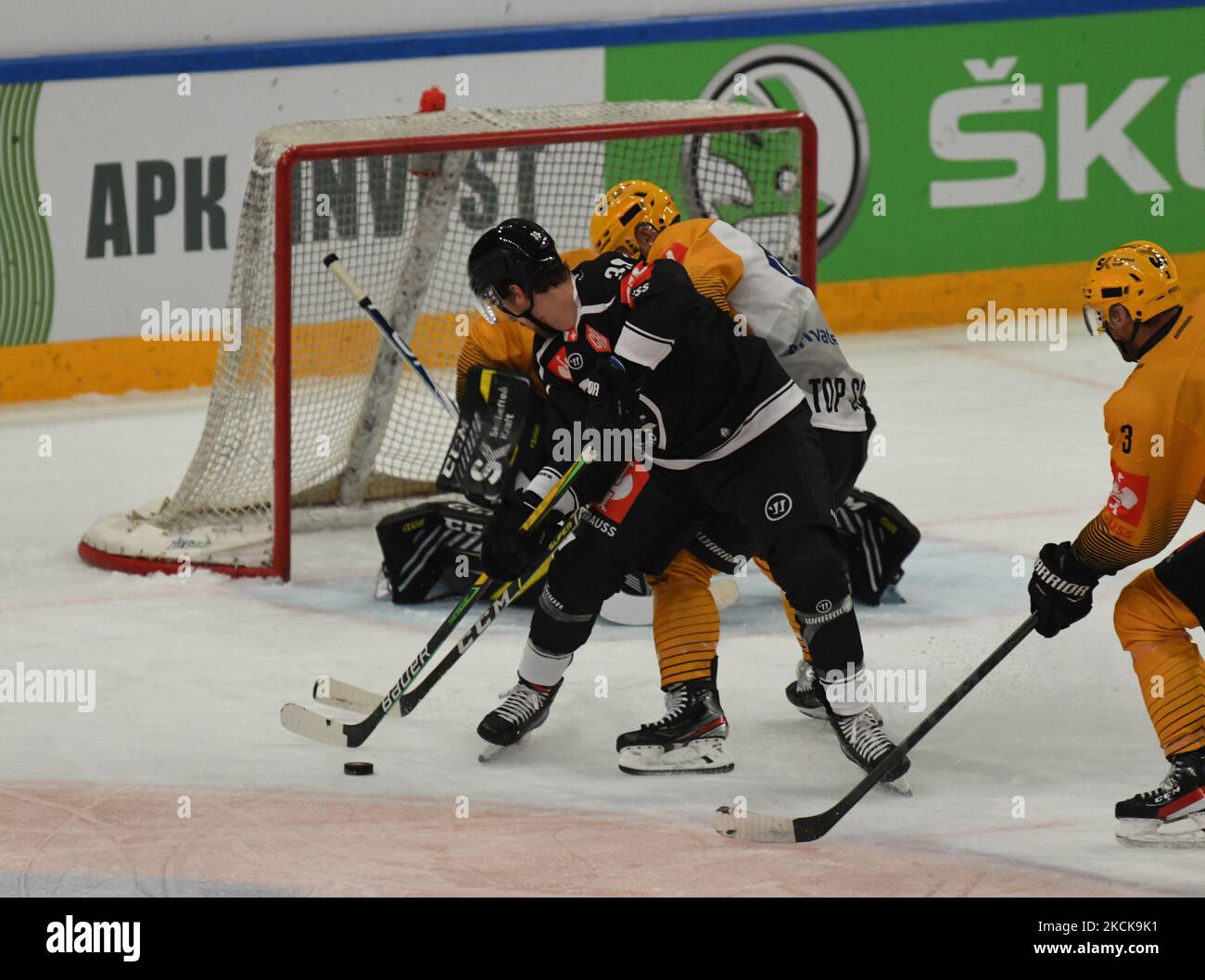 Evan tschumi lugano hockey lugano hockey champions hockey league match ...