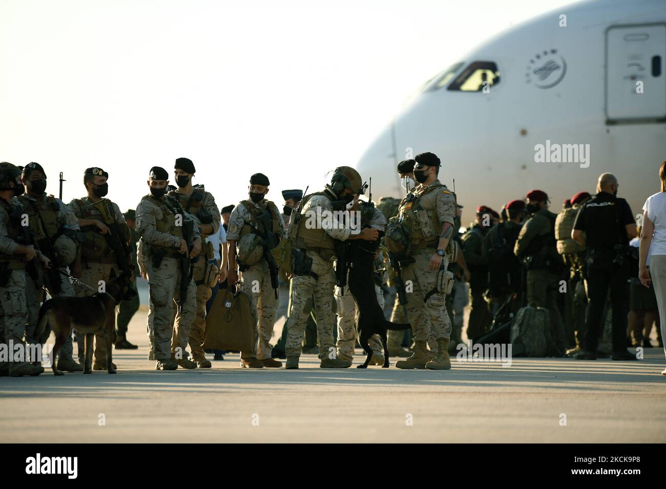Group soldiers on plane hi-res stock photography and images - Alamy