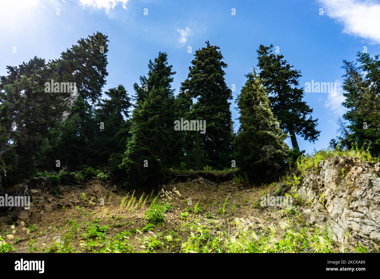 Mountain landscape in famous recreation zone of Guria region in western ...
