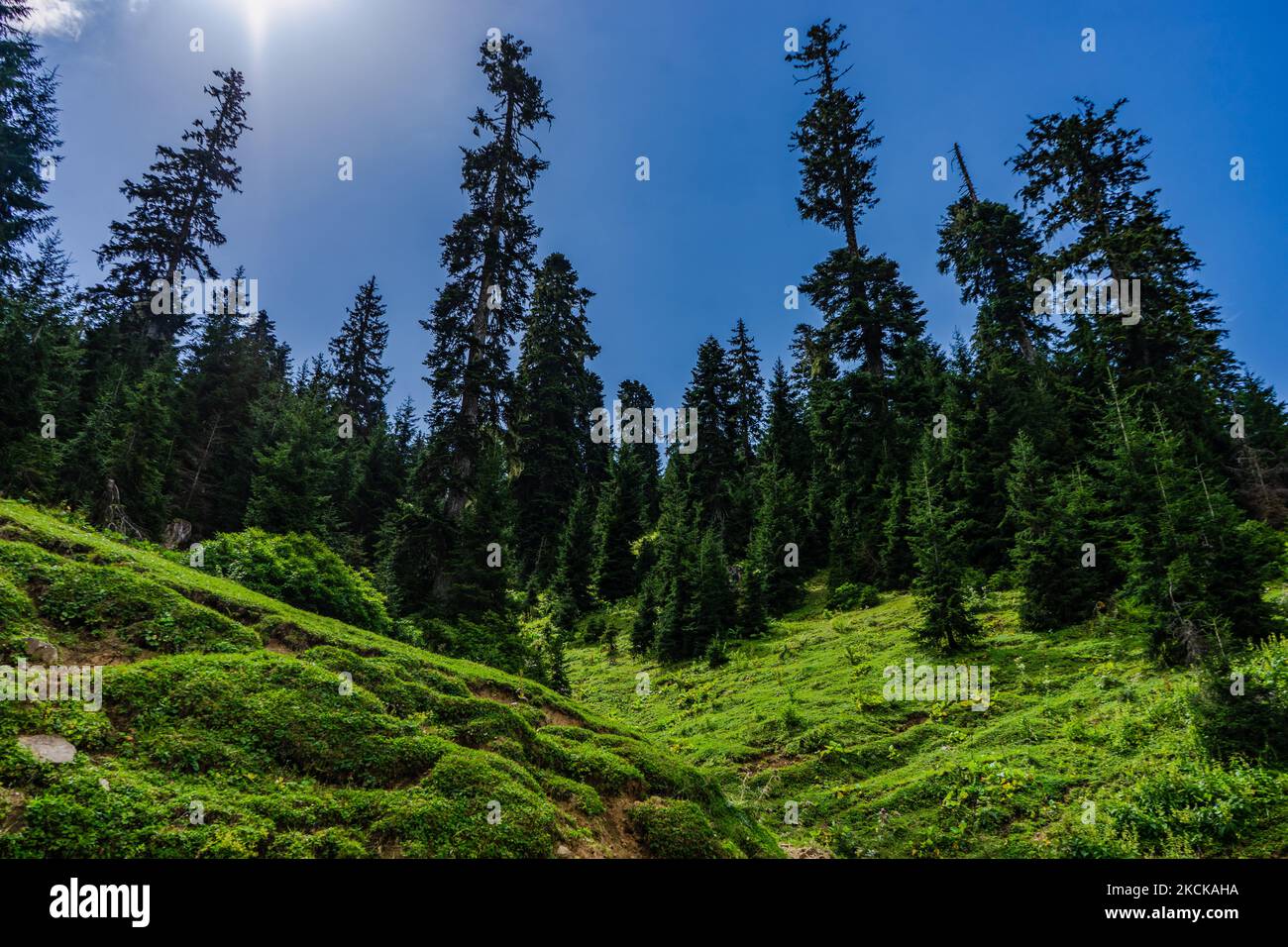Mountain landscape in famous recreation zone of Guria region in western ...