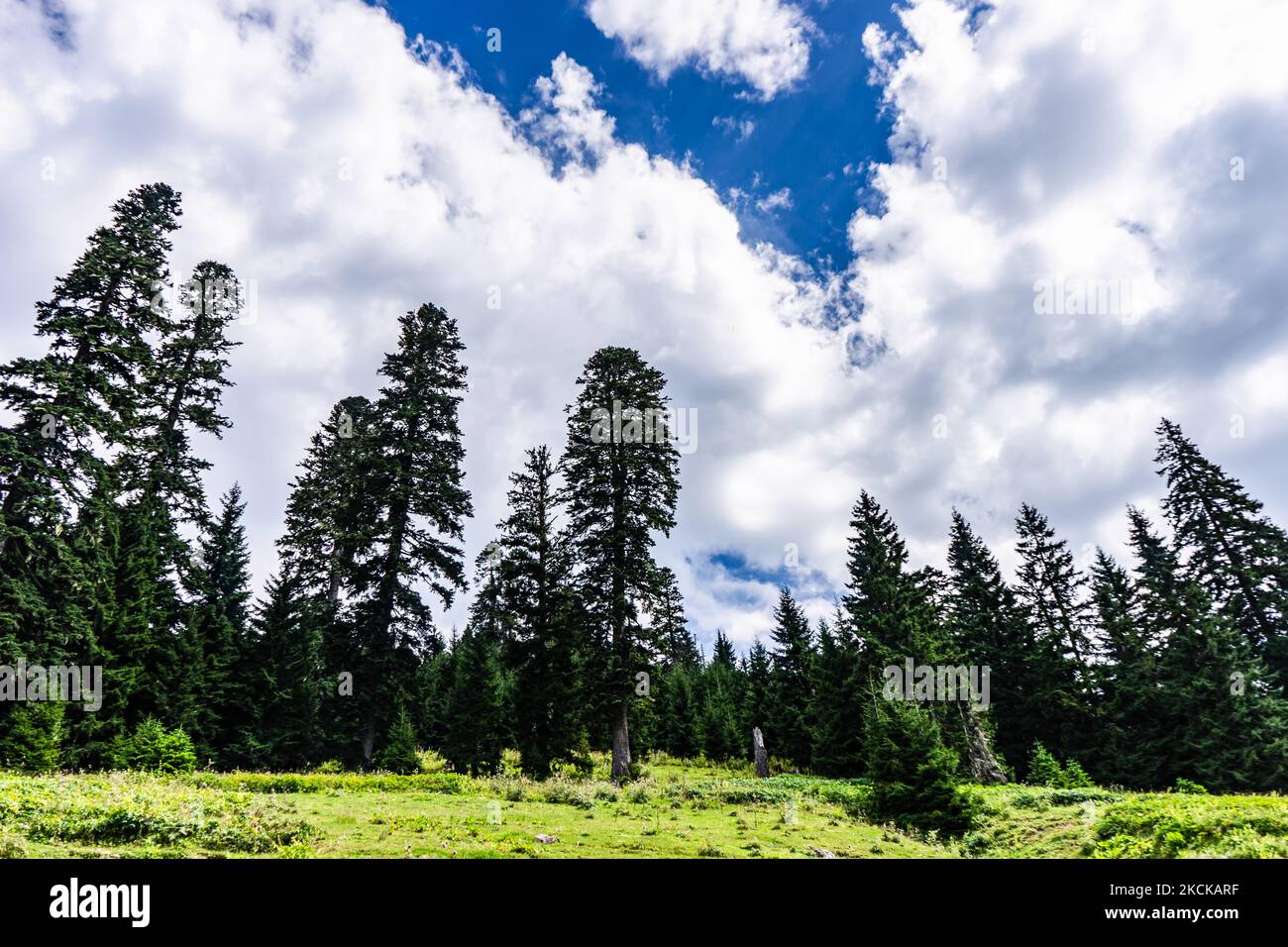 Mountain landscape in famous recreation zone of Guria region in western ...