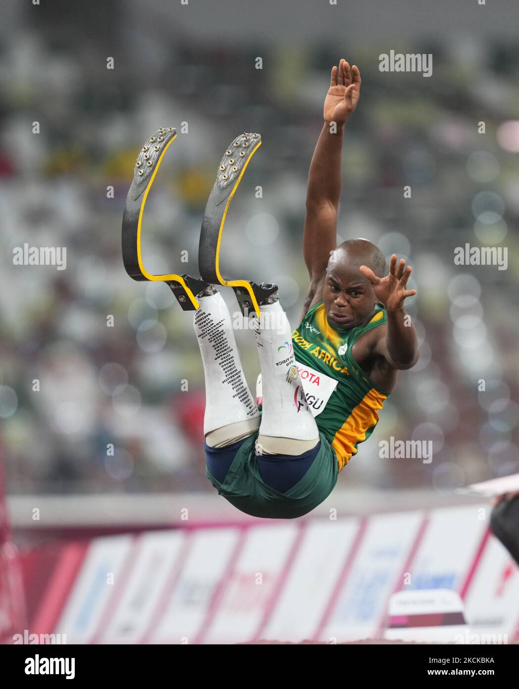 South africa winning and beating the world record at longjump hi-res ...