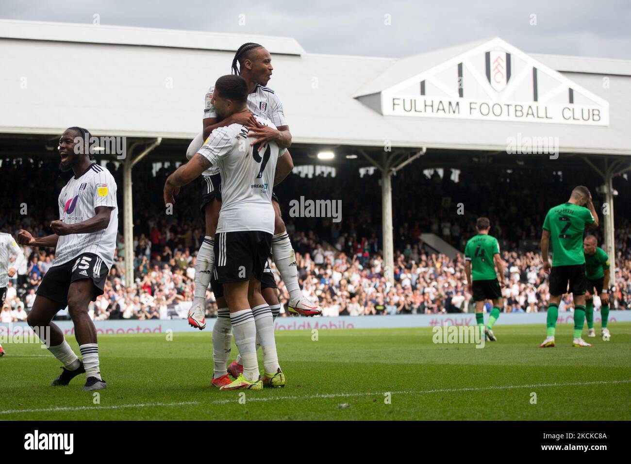 Bobby Reid of Fulham celebrates after scoring during the Sky Bet Championship match between ...
