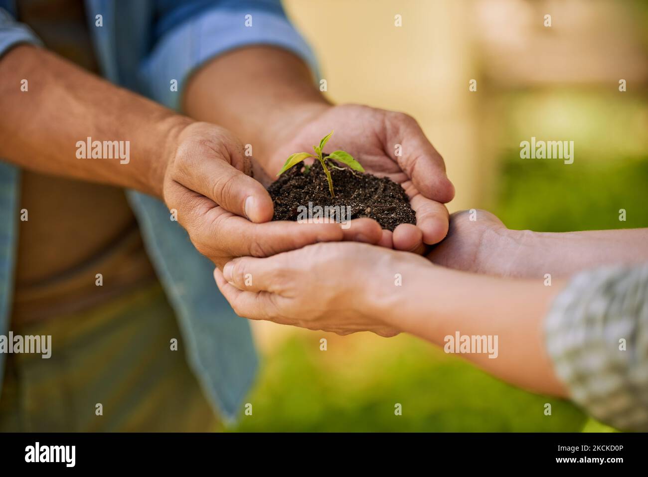 Green is the color of hope. two unidentifiable farmers holding a pile ...