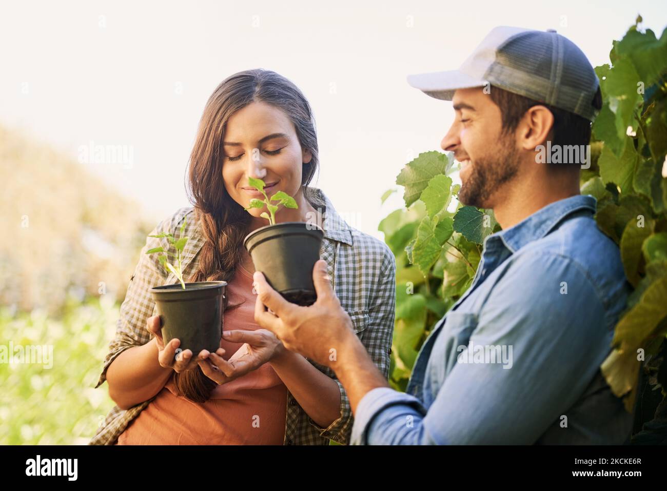 Farming is a profession of hope. two happy young farmers working ...