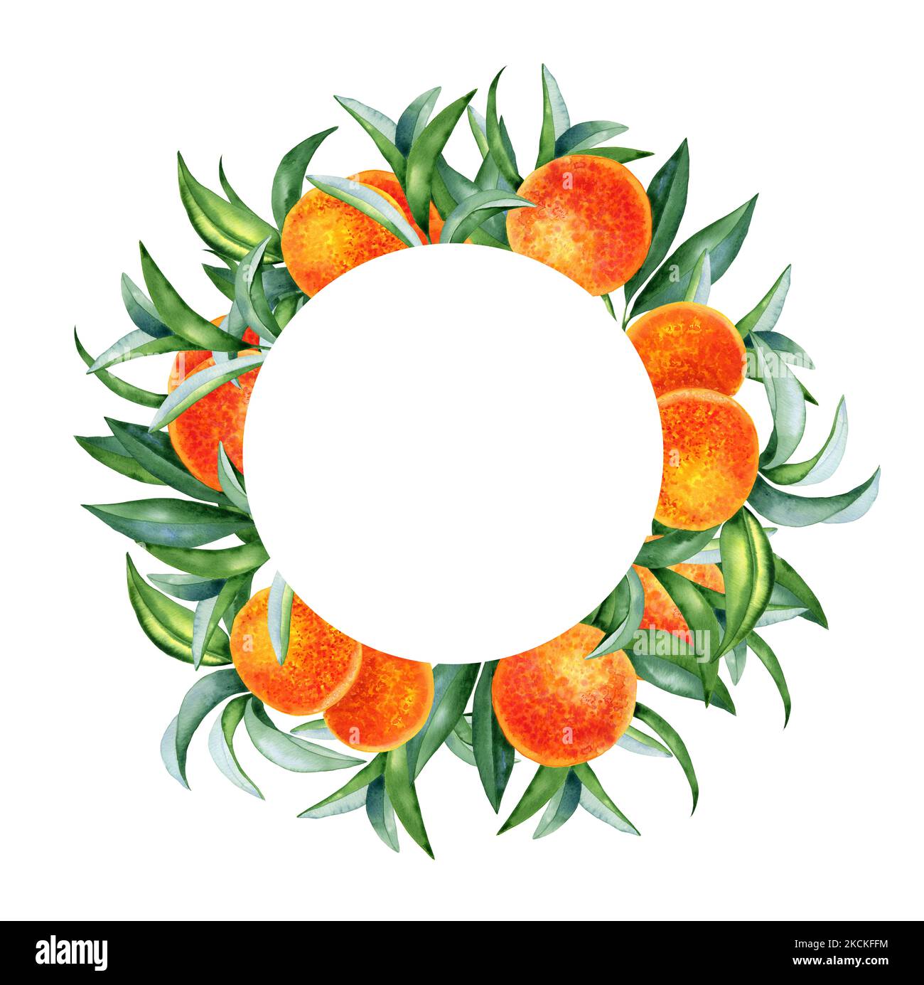 Round frame wreath of watercolor oranges and leaves. Hand drawn orange citrus fruits. Postcard ...