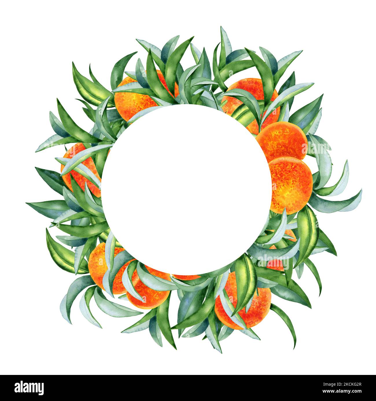 Round frame wreath of watercolor oranges and leaves. Hand drawn orange ...