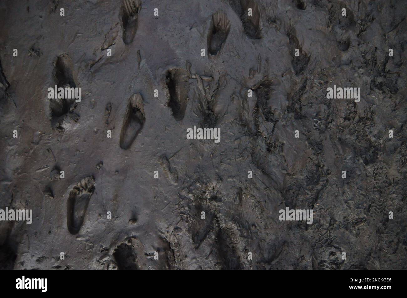 A footprint left by local residents on the mud that filled their ...