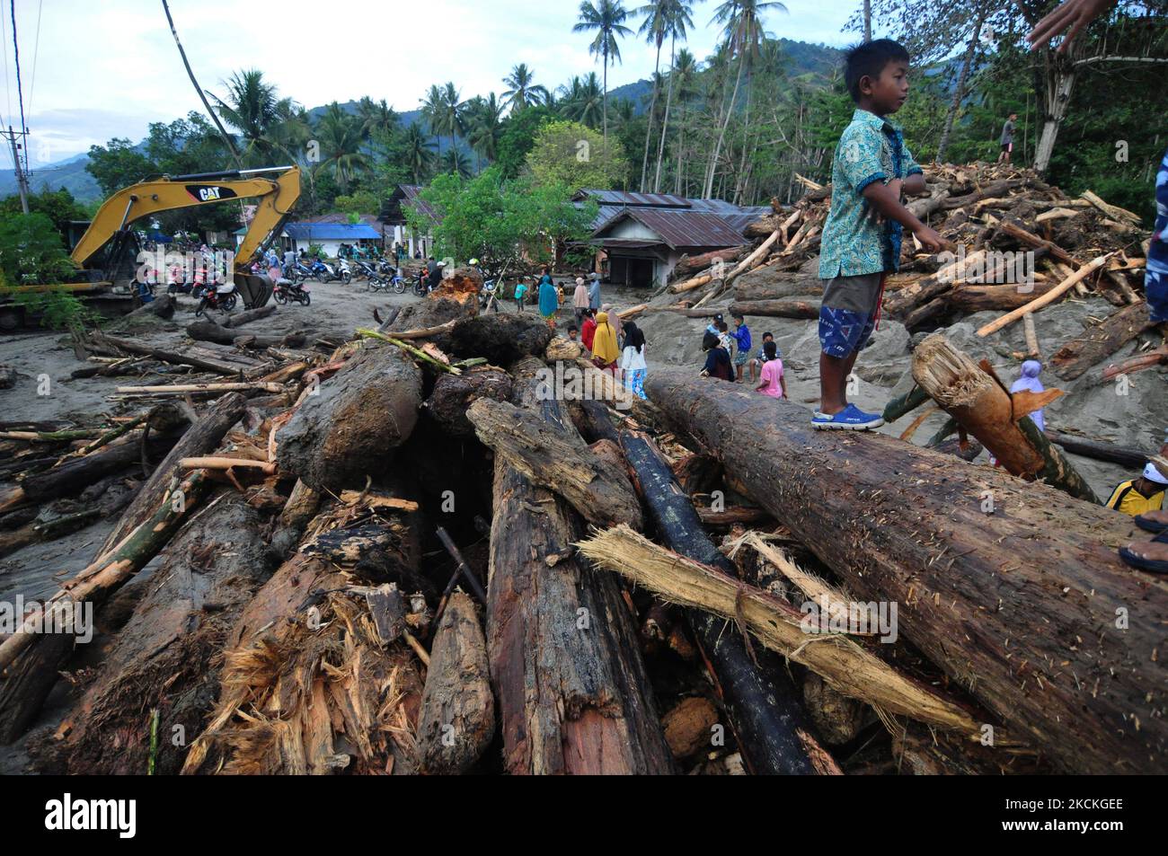 A child watches a large pile of wood, which is the impact of illegal ...
