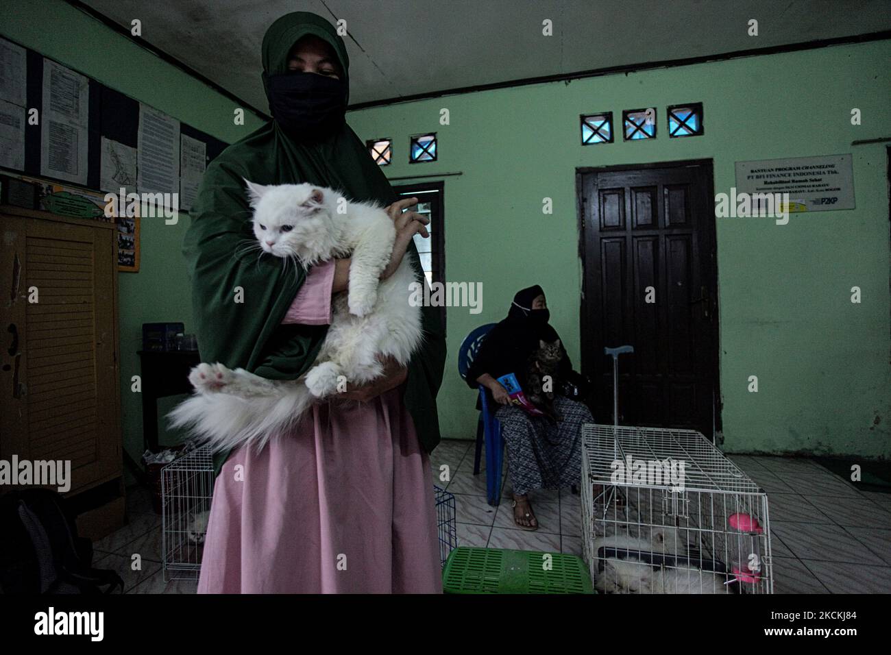 Dangers of rabies hi-res stock photography and images - Alamy