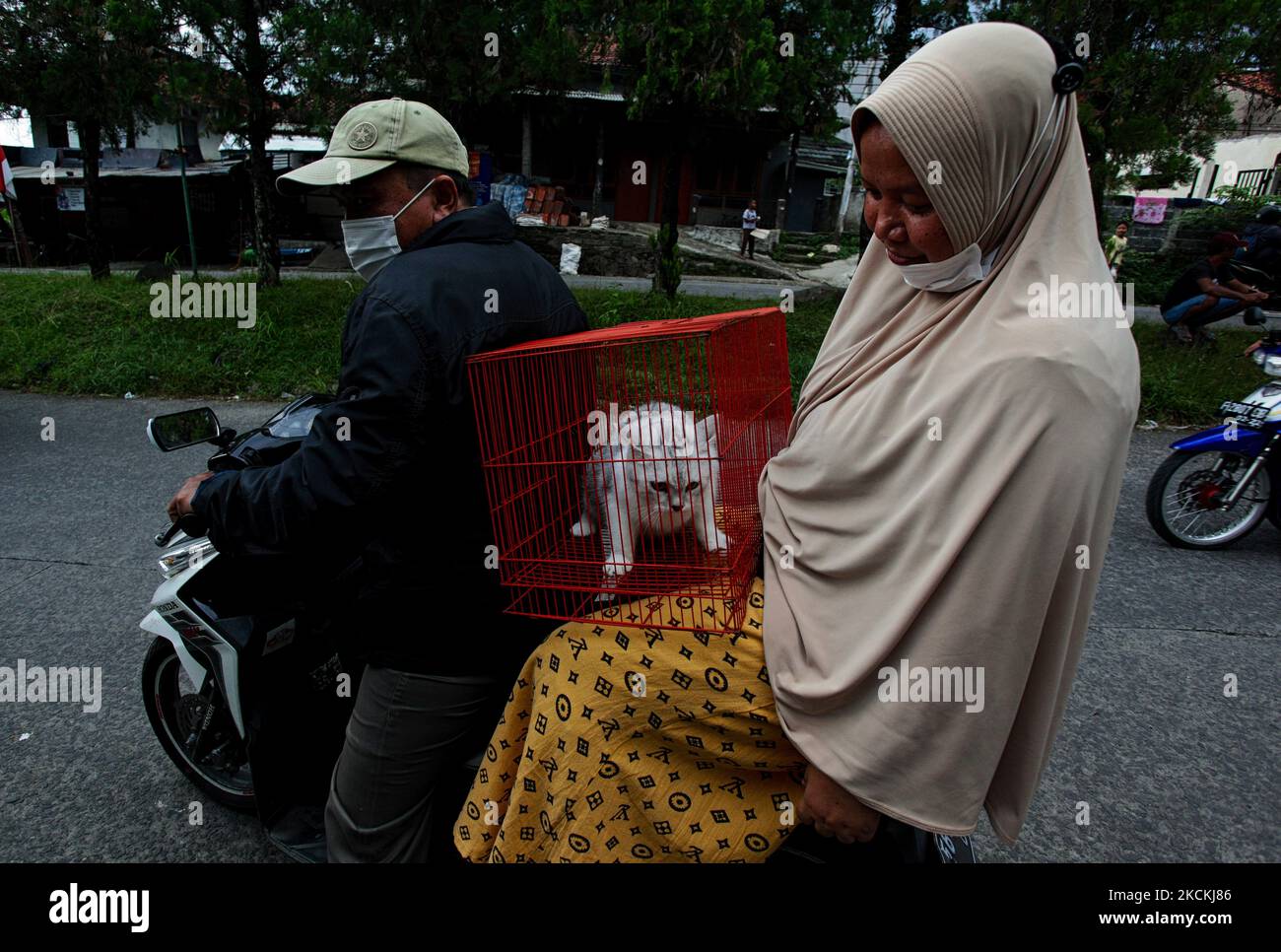 Dangers of rabies hi-res stock photography and images - Alamy