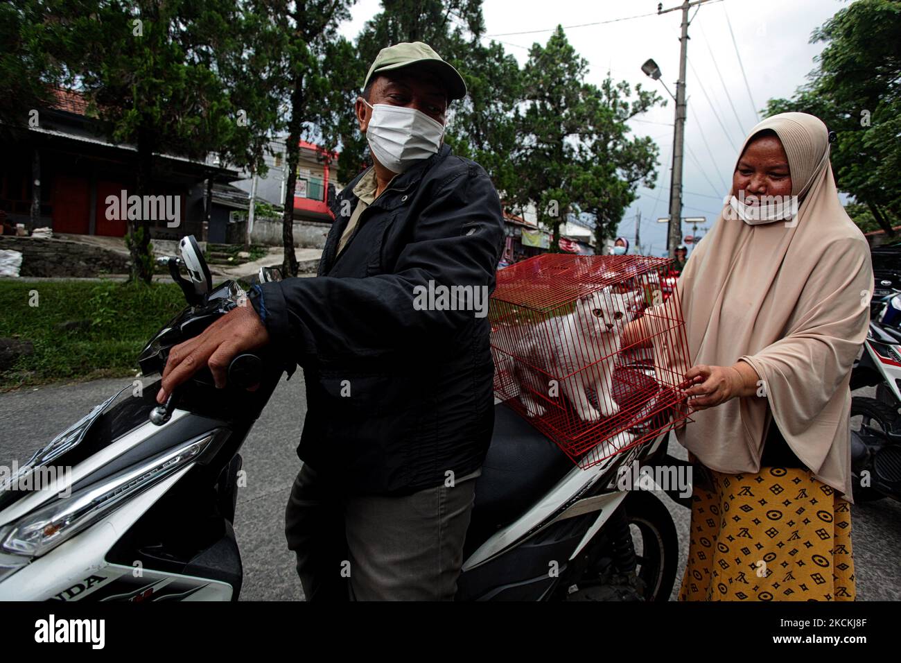Dangers of rabies hi-res stock photography and images - Alamy