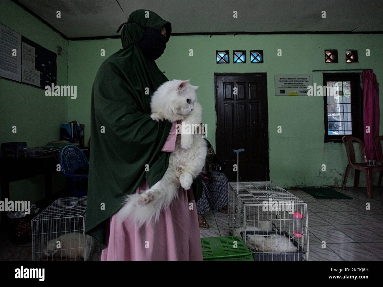 Dangers of rabies hi-res stock photography and images - Alamy