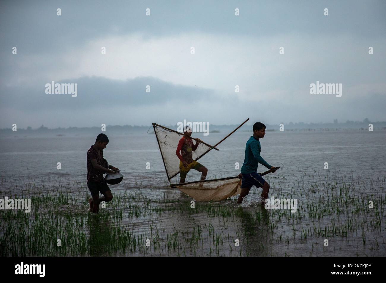 Local boys catch fish with traditional fishing net during heavy rain in ...