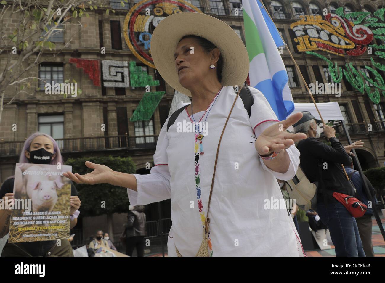 Jesusa Rodríguez, activist and former senator of the Movimiento de ...