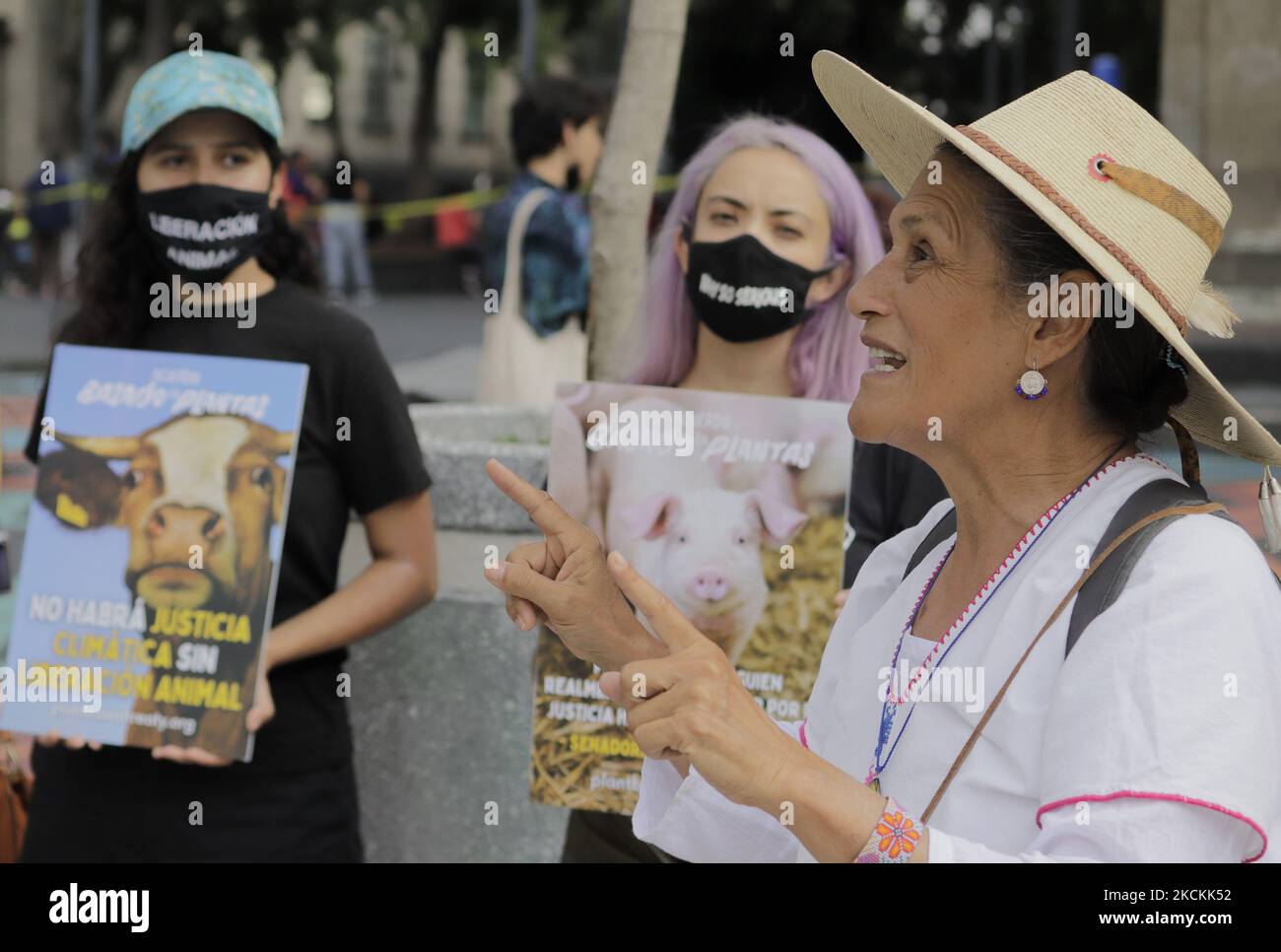Jesusa Rodríguez, activist and former senator of the Movimiento de ...