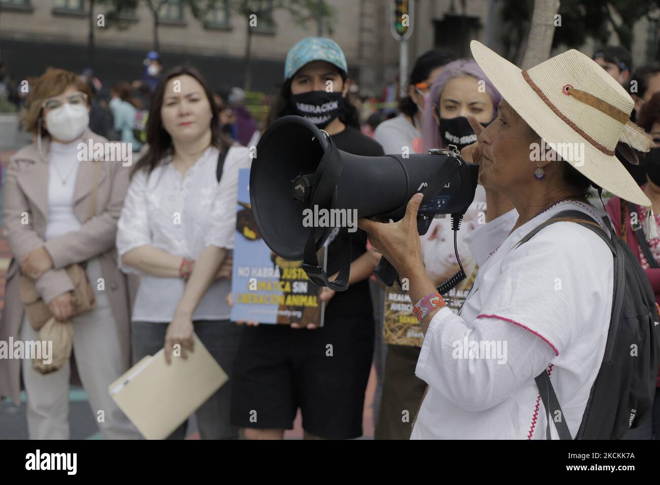 Jesusa Rodríguez, activist and former senator of the Movimiento de ...