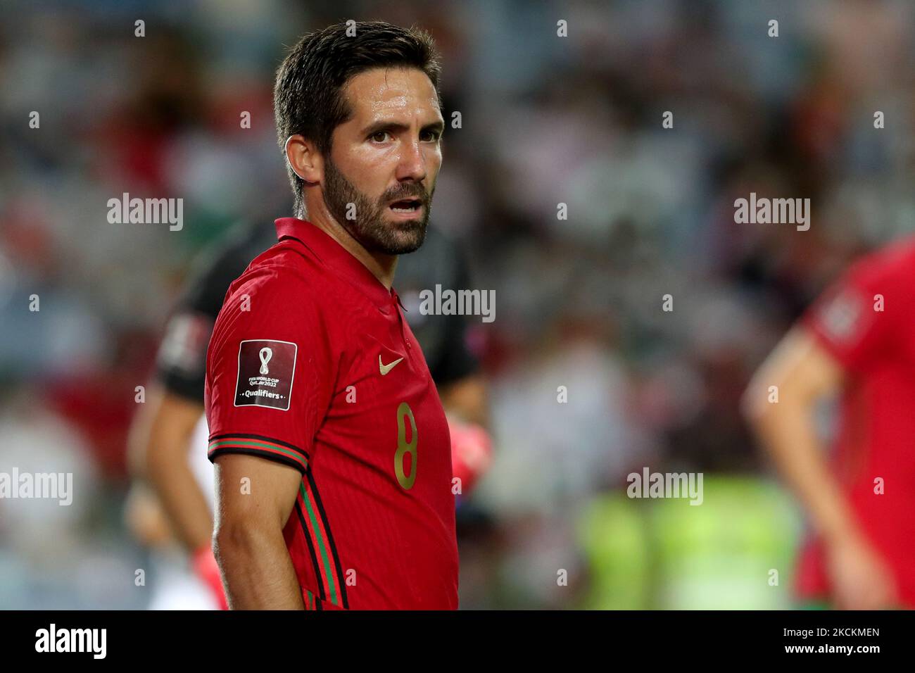 Joao moutinho portugal 2022 hi-res stock photography and images - Alamy