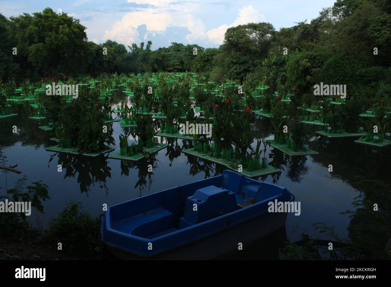 Sanjay van lake hi-res stock photography and images - Alamy