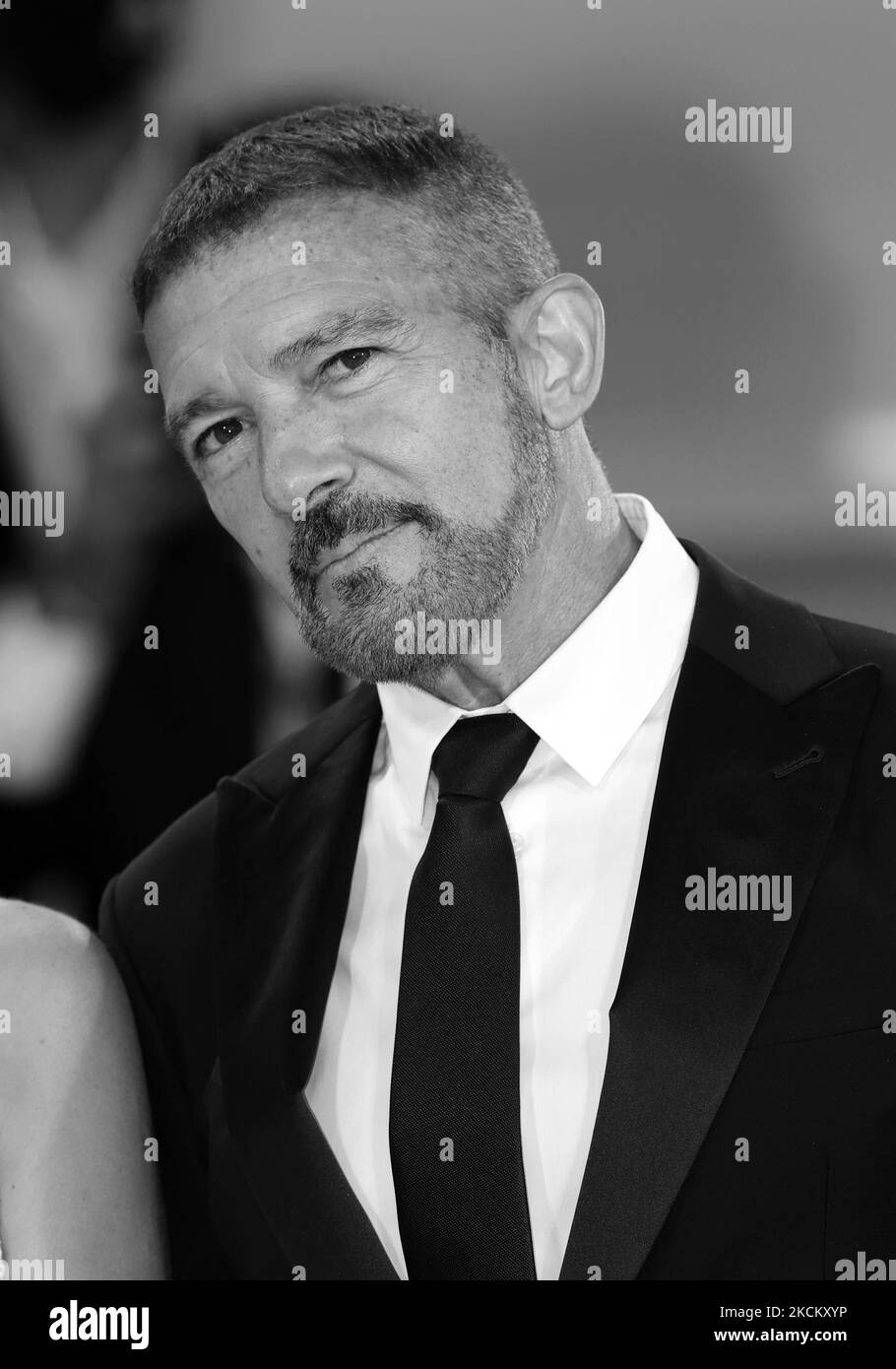 Antonio Banderas attends the red carpet of the movie "Competencia ...