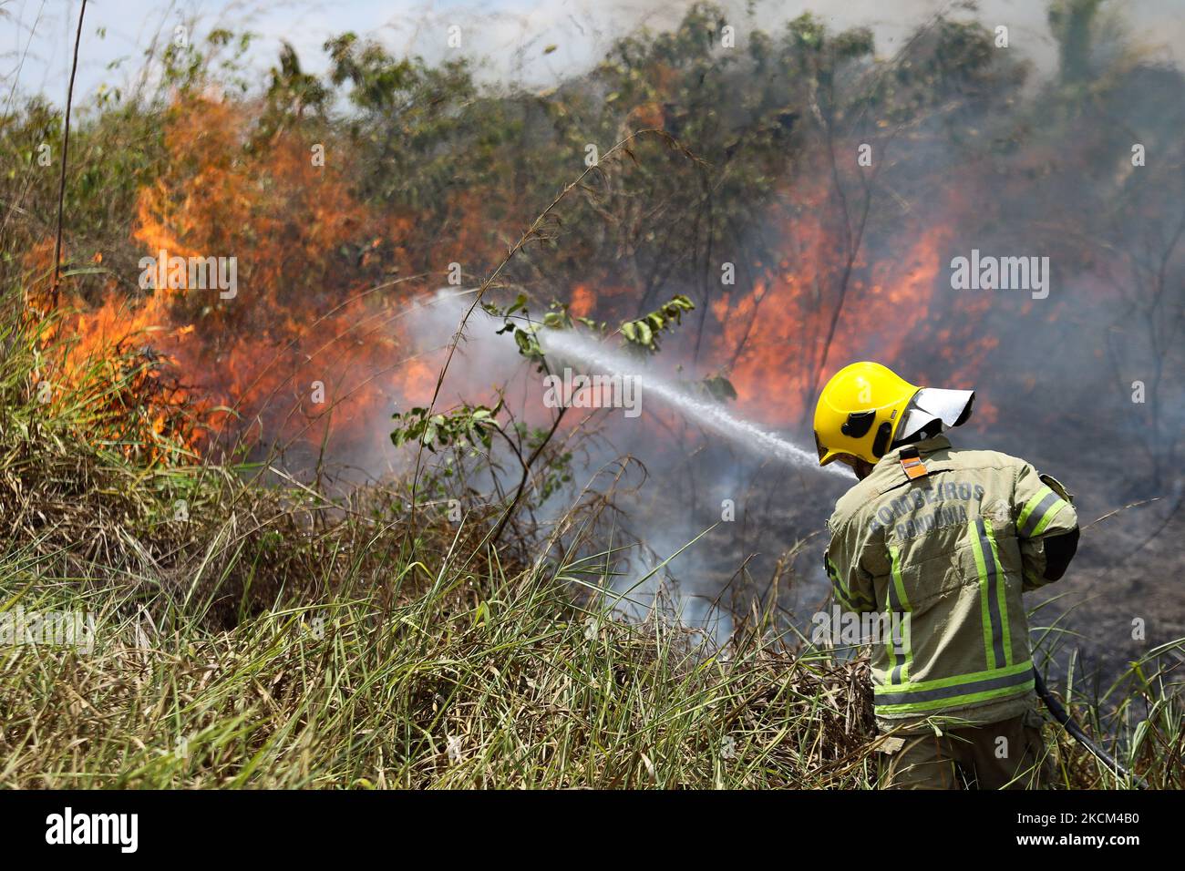 Firefighters combat the fire In Porto Velho, capital of the state of ...