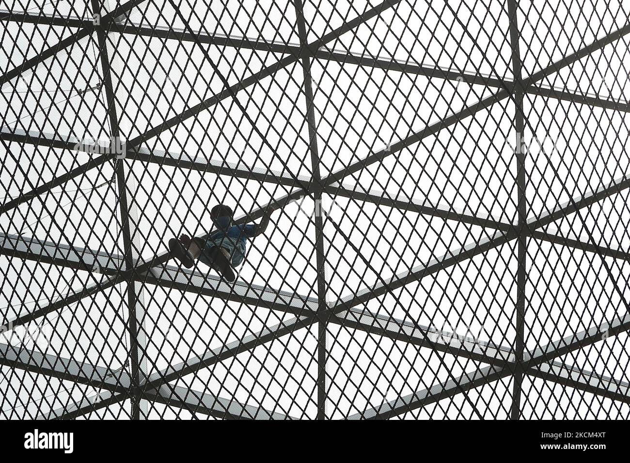 A young boy plays at the canopy park at Jewel Changi Airport on ...