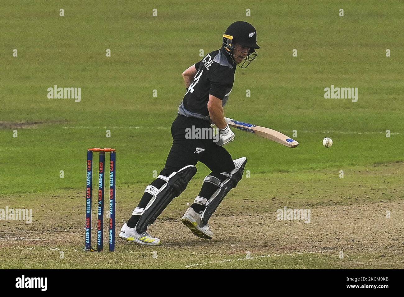 Cole mcconchie hi-res stock photography and images - Alamy