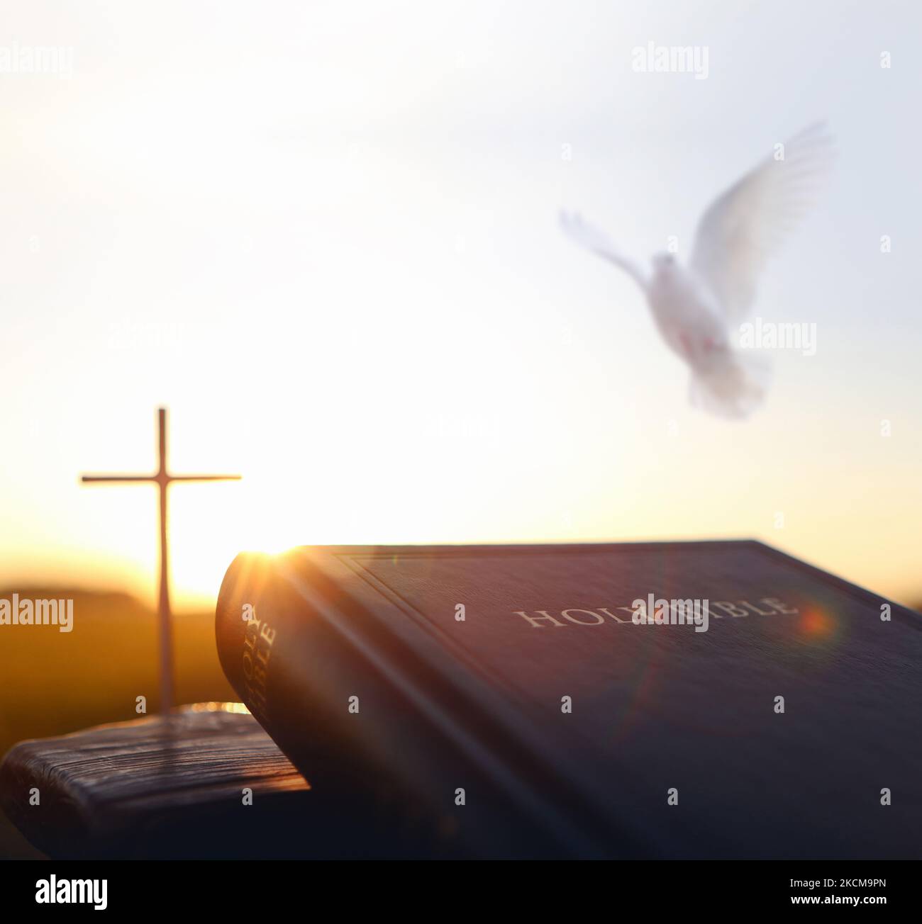 Bright sunlight and white dove and holy bible and cross silhouette of ...
