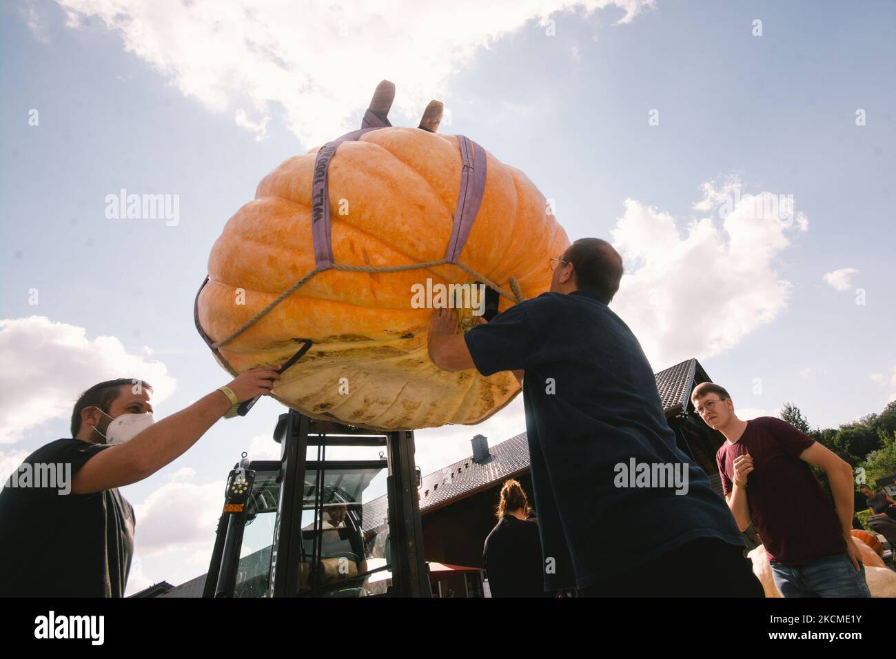 Helpers transport a heavy giant pumpkin on a scale during the NRW ...