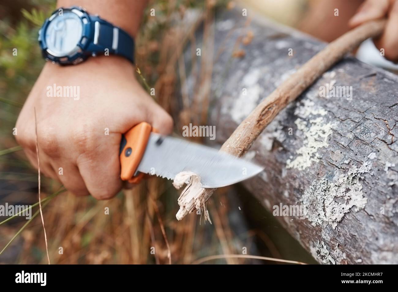 Camping man, knife and cut wood, tree branch and sharp stick for ...
