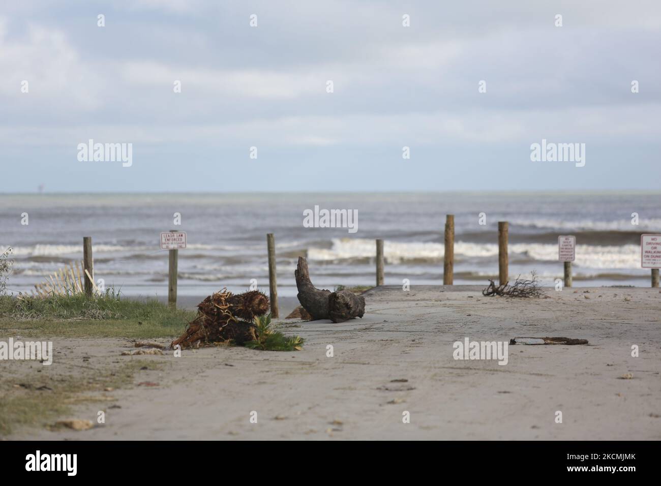 The many beaches of Galveston are littered with debris following ...