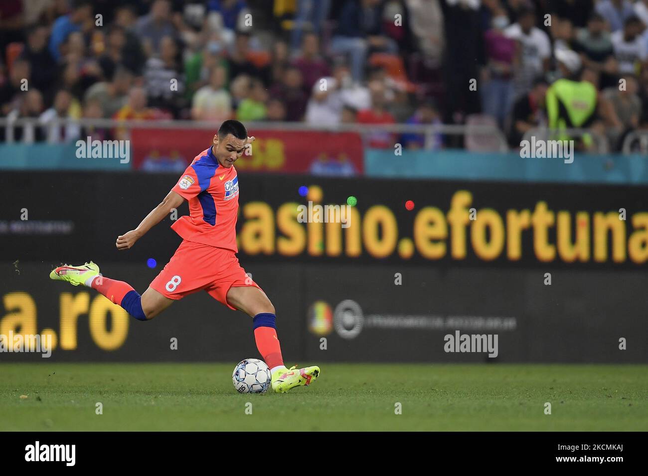 Adrian sut hi-res stock photography and images - Alamy