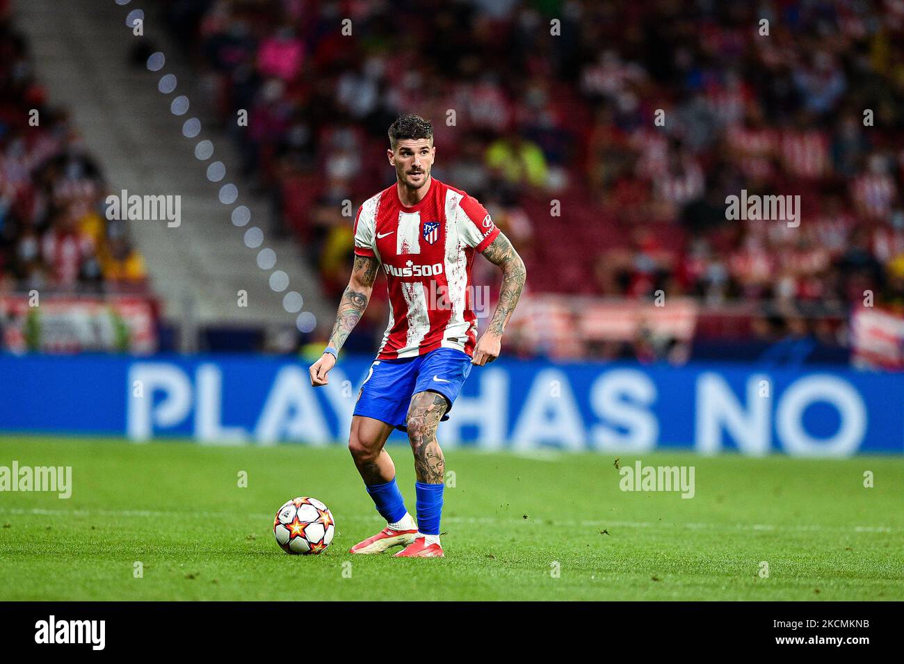 Rodrigo de paul porto hi-res stock photography and images - Alamy