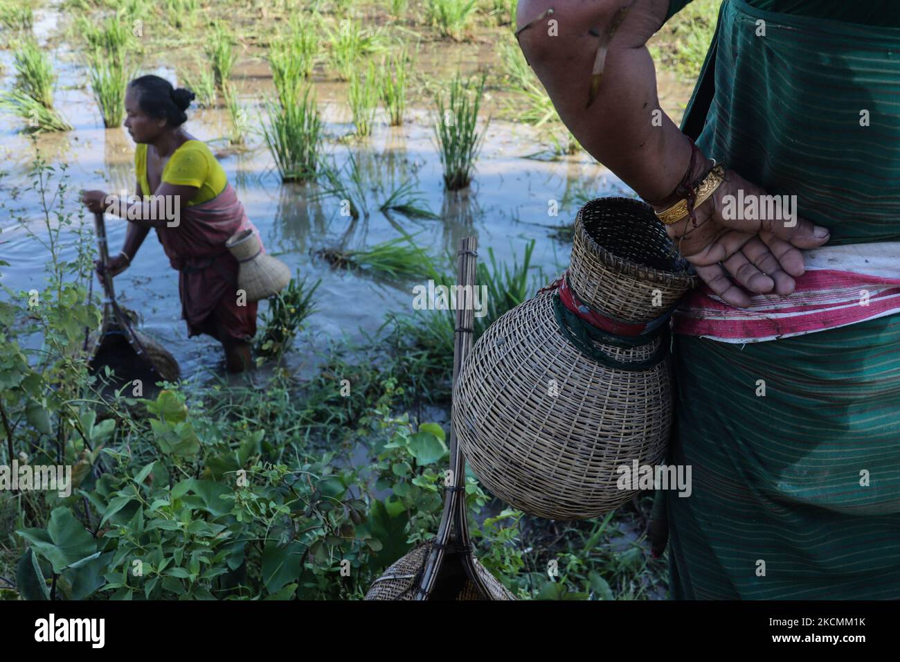 Bodo tribe hi-res stock photography and images - Alamy